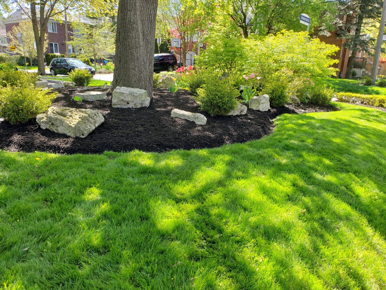 Turf Care Groundhog Landscaping turf-care-groundhog-landscaping